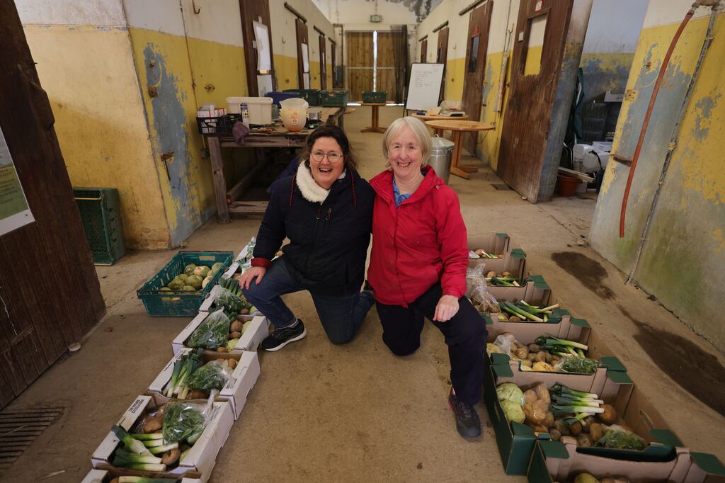 Farming as therapy: One family’s vision for changing mental health care ...