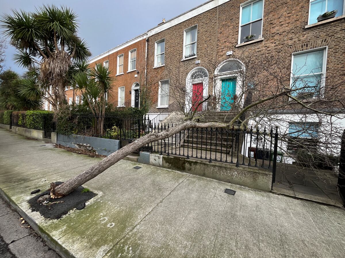 Storm Éowyn Dublin update: Extensive damage in the capital as shops ...