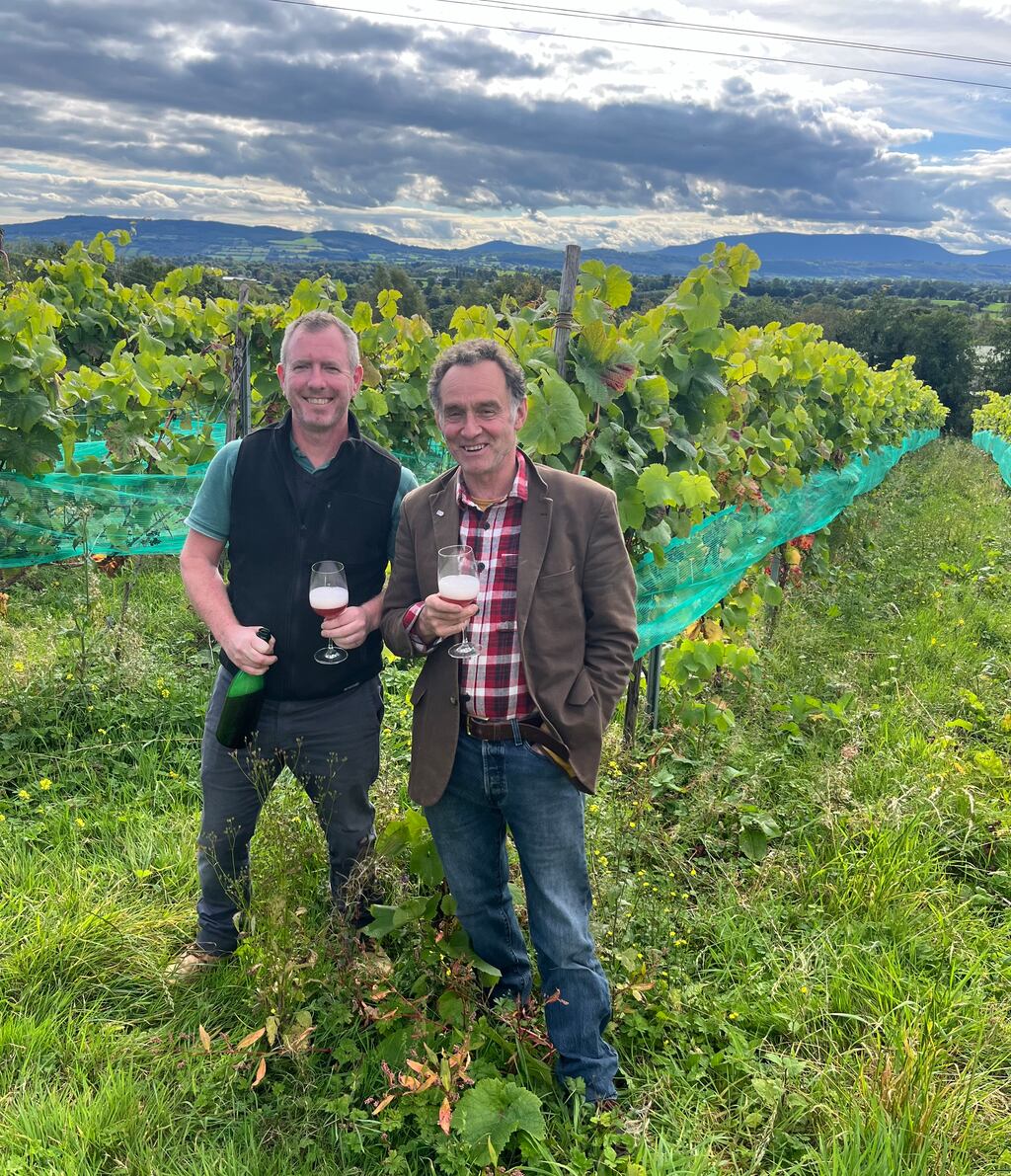 The Irish wine makers: ‘It is a miracle. Last year we got the same ...