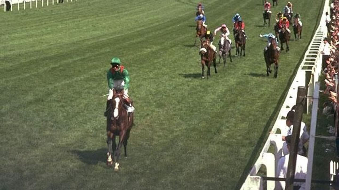 Shergar, 40 years on: Codenames, kidnap, clairvoyants and a brutal end ...