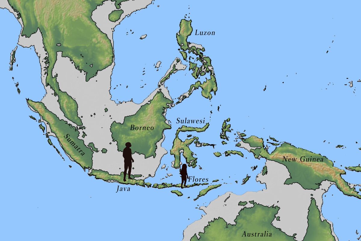 ‘Hobbit’ bone from tiny species of ancient humans found on Indonesian ...