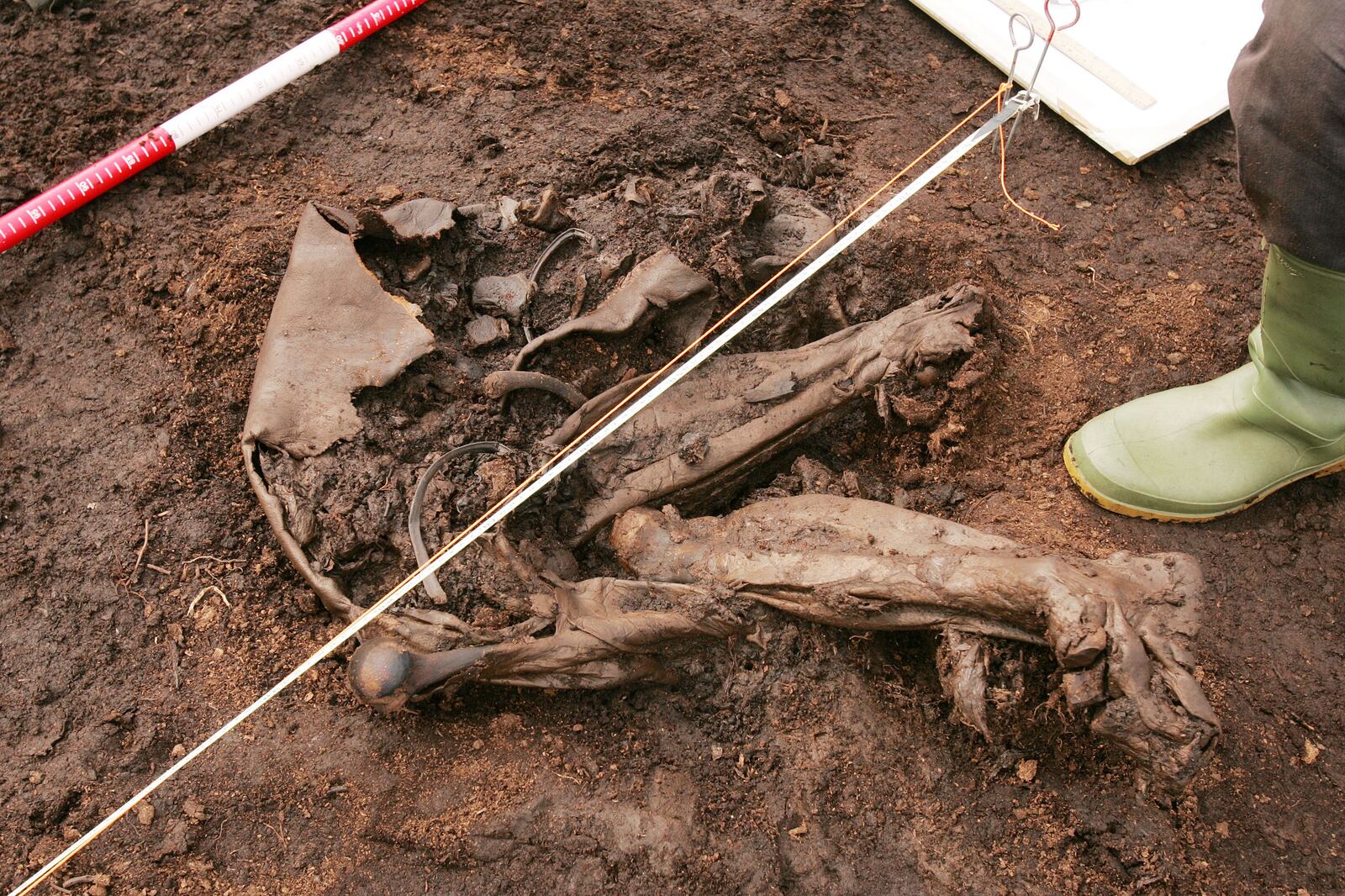 What violent secrets do ancient bog bodies hold? – The Irish Times