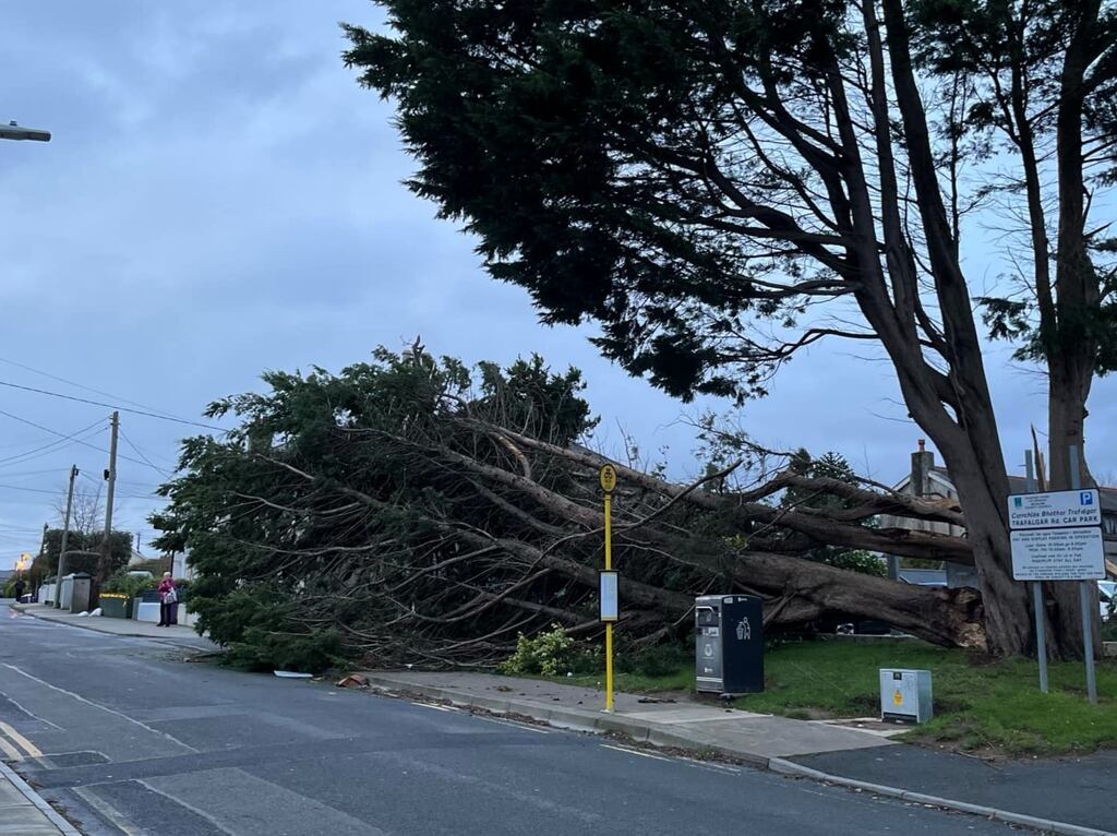 Storm Darragh: Hundreds of thousands of premises without power amid ...