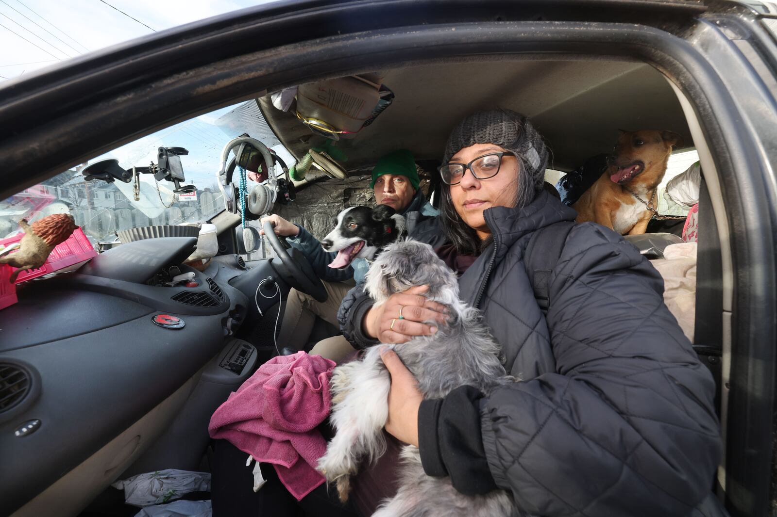 ‘The rental situation needs to change’: Pet owners struggle to find ...