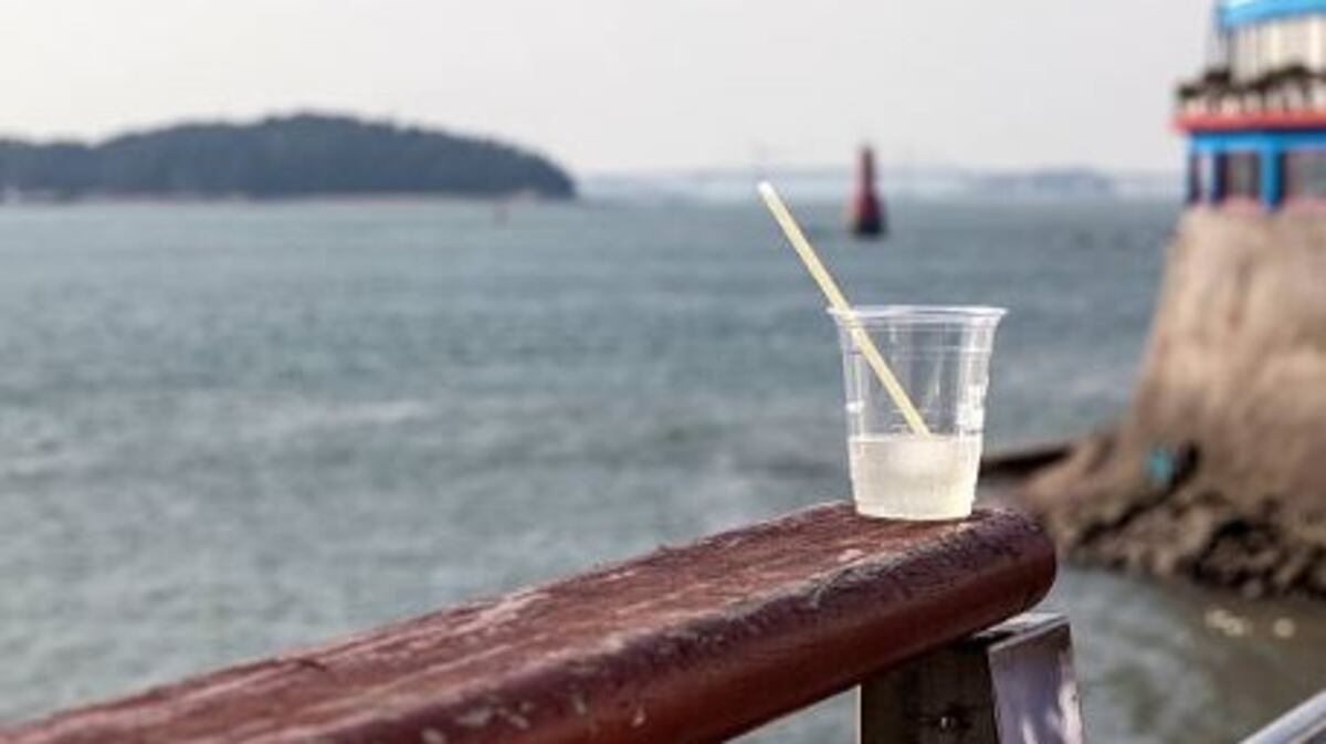 Straw poll: Dispose of single-use plastics, urges restaurant lobby ...