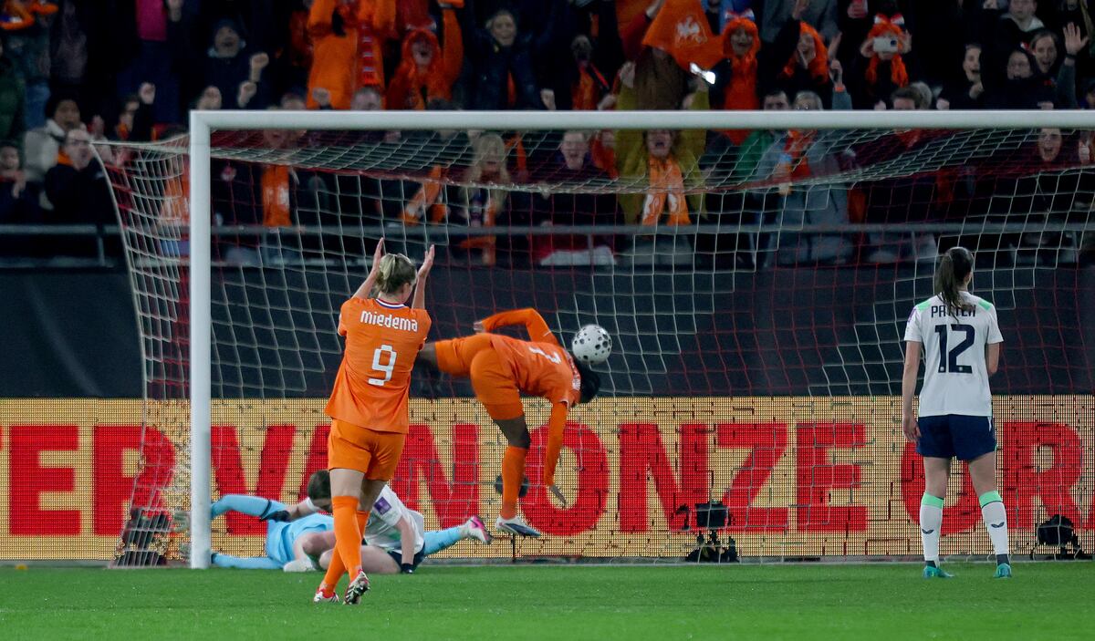 Dutch class wins through in the end as Ireland’s brave showing comes up ...