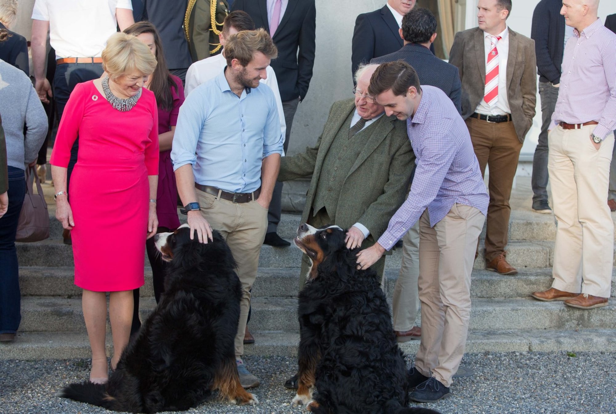 A dog's life in pictures: Bród and President Michael D Higgins at the ...