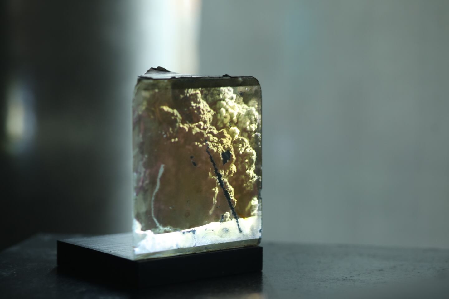 A meditation on memory and time: Siobhán McDonald captures landscapes ...