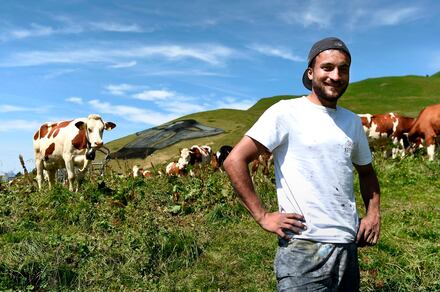 Meet the street-art sensation who sprays mountains – The Irish Times