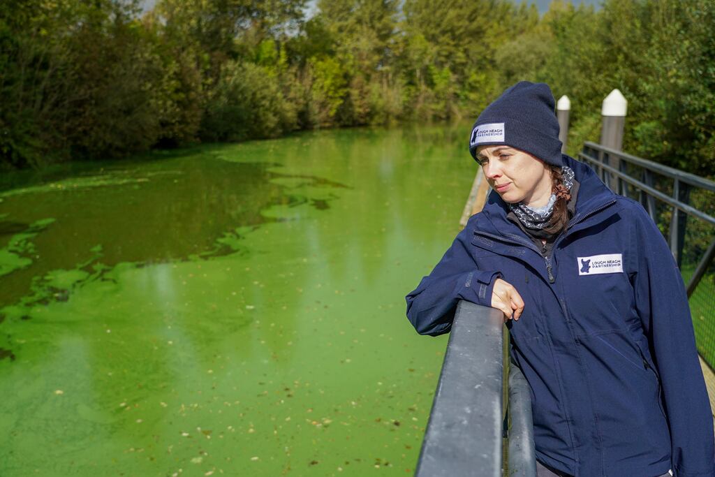 ‘The lough isn’t just dying, it’s been killed’: How Lough Neagh reached ...