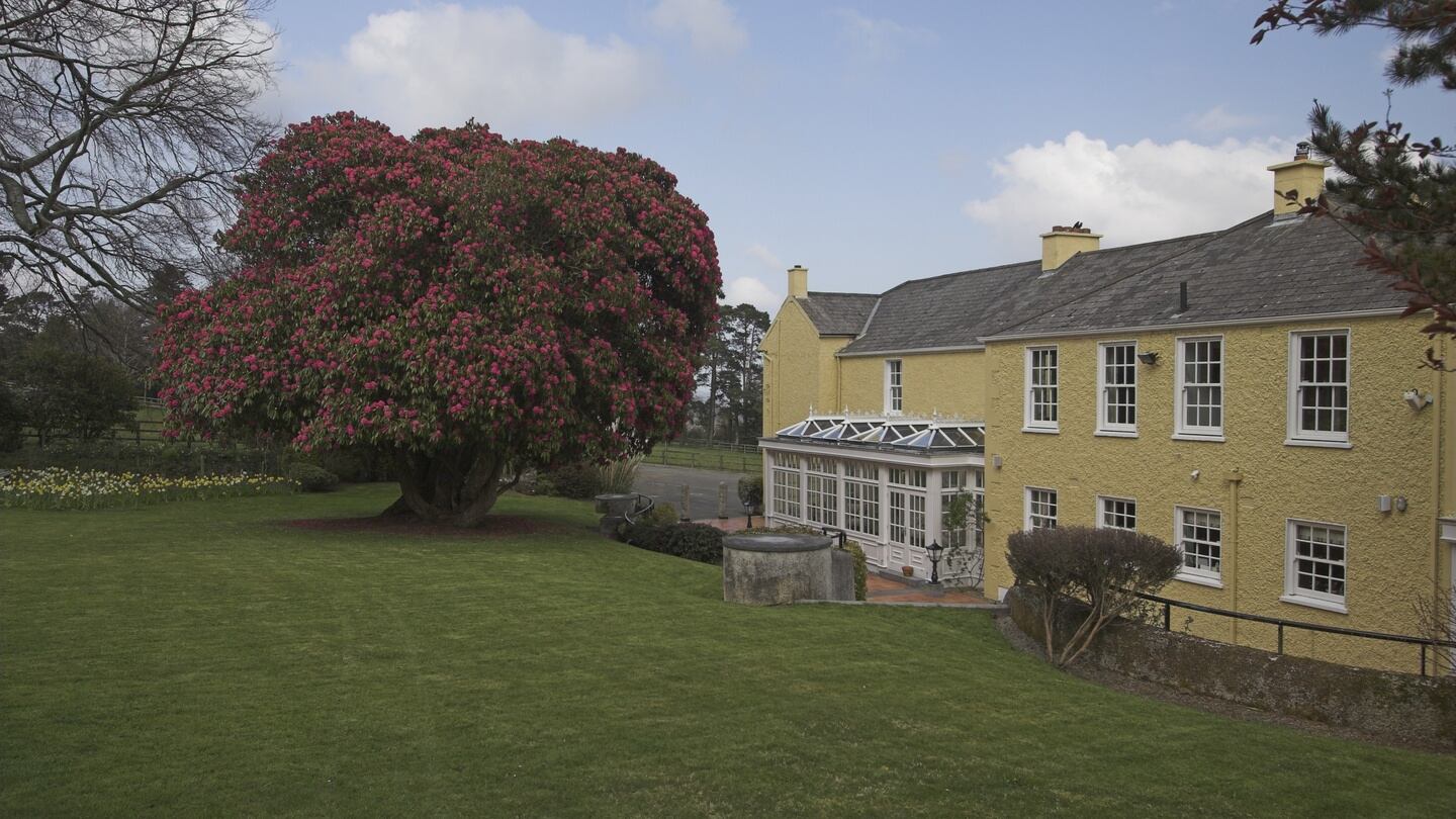 Wicklow stud farm returns with €11.5m price drop – The Irish Times