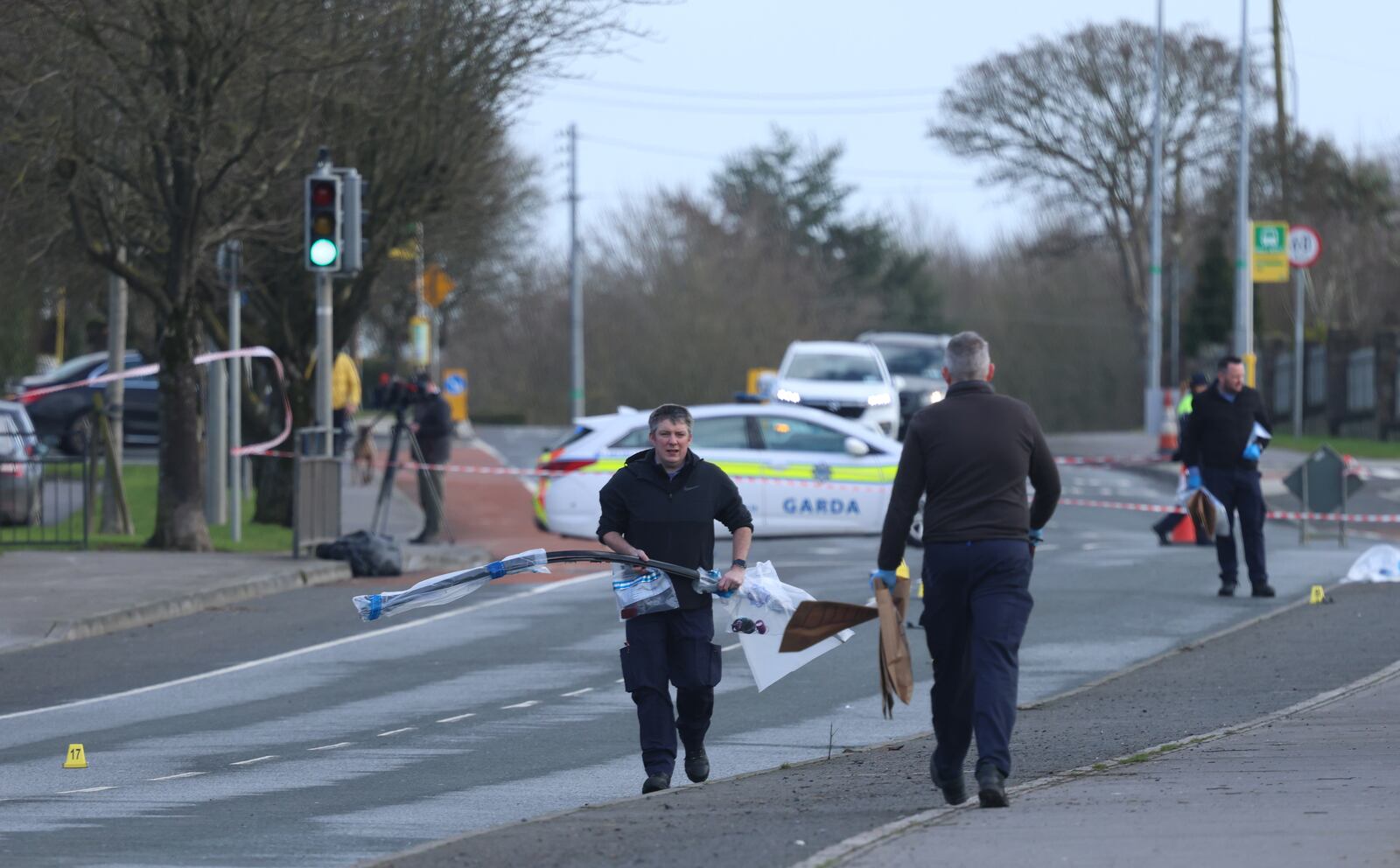 Girl (16) killed in Co Meath hit-and-run is named – The Irish Times