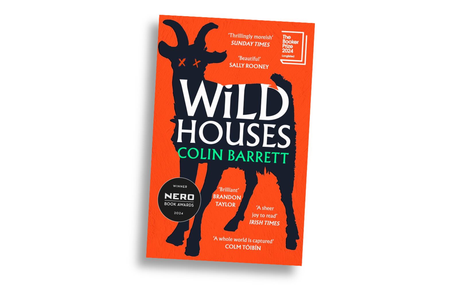 The 100 best Irish books of the 21st century: No 50 to No 26 – The ...
