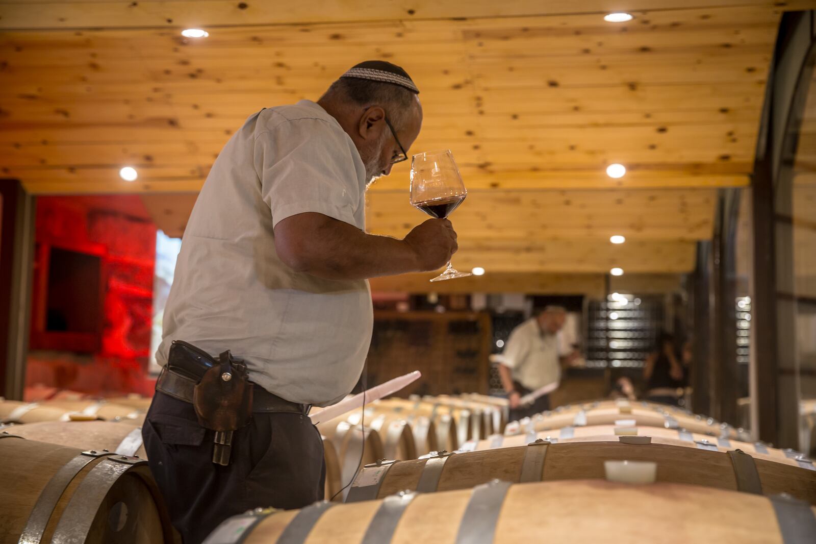 ‘This land is wonderful for wine’: Israeli settlers strengthen grip on ...
