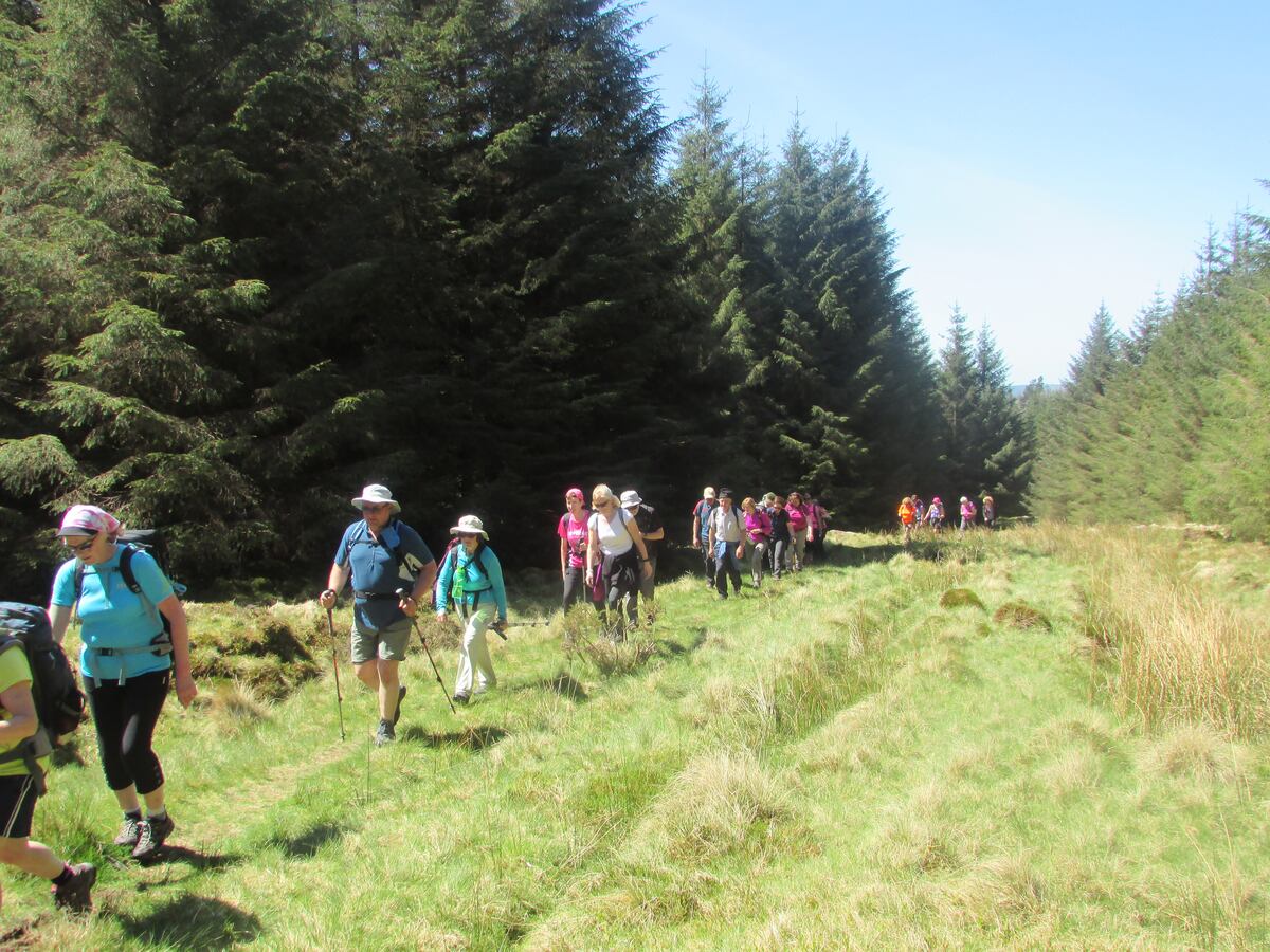 Ireland’s ancient pilgrim paths: 14 trails to walk across the country ...