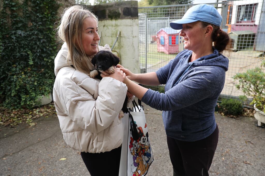 Aftermath of the Covid puppy boom: ‘A tsunami of unwanted dogs’ – The ...