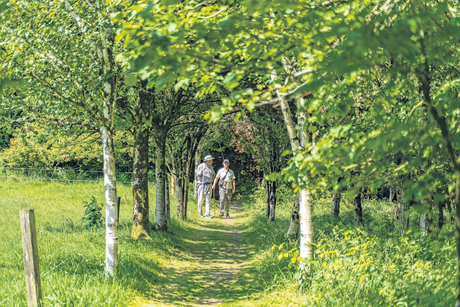 Ireland’s ancient pilgrim paths: 14 trails to walk across the country ...