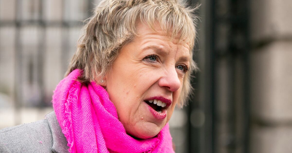 The Irish Times View On The Labour Party Fighting To Define Its Role The Irish Times