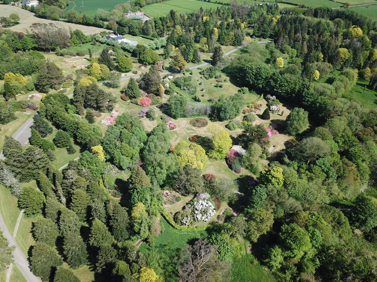Wexford’s botanic ark: the JFK Arboretum offers a safe haven for ...