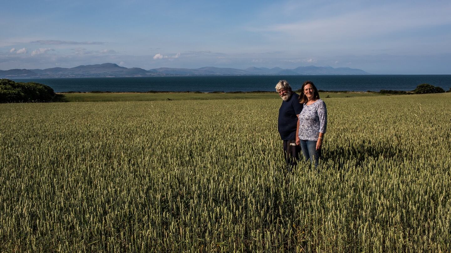 Our daily bread: Ireland’s grain growers and millers – The Irish Times