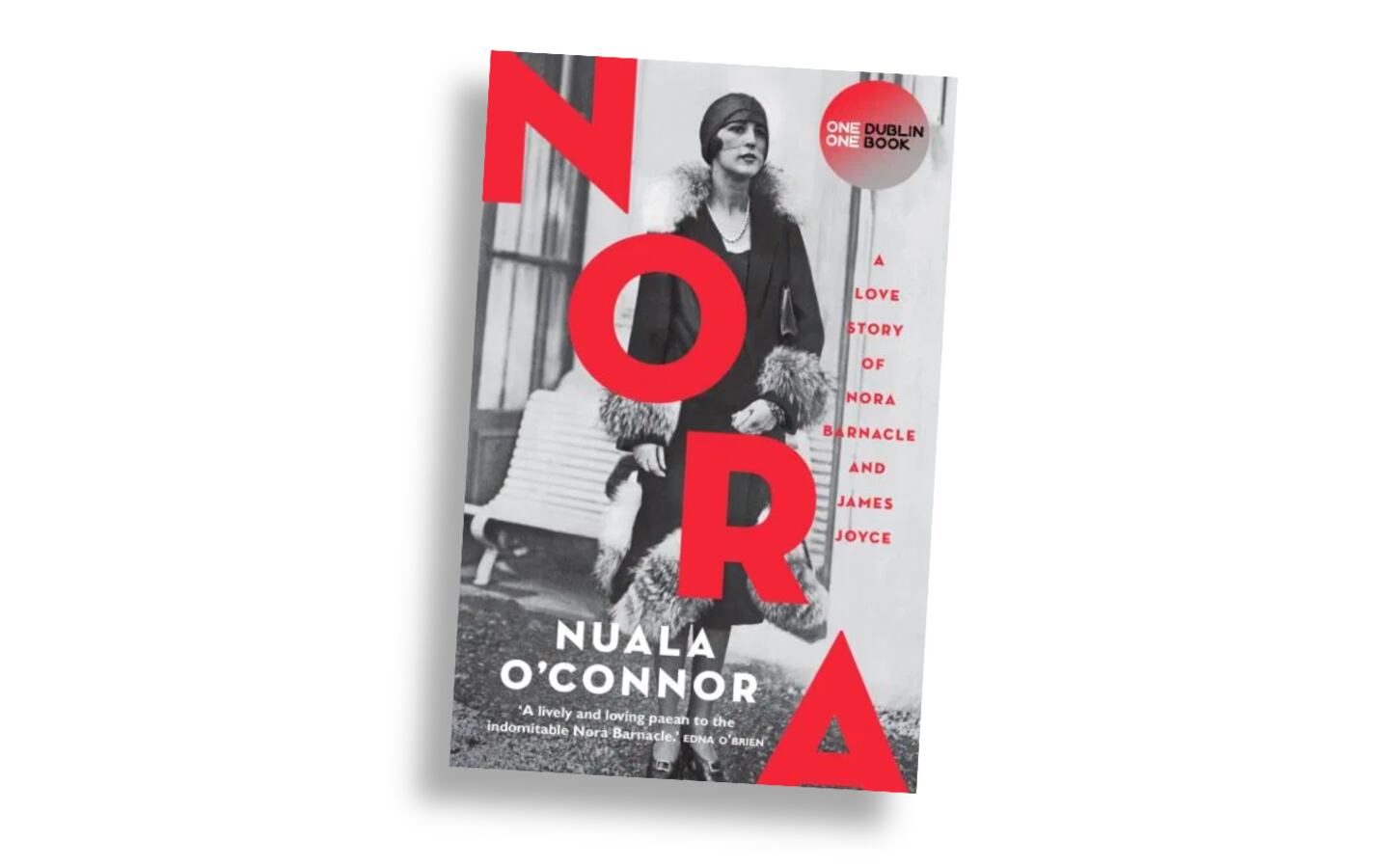 The 100 best Irish books of the 21st century: No 100 to No 51 – The ...