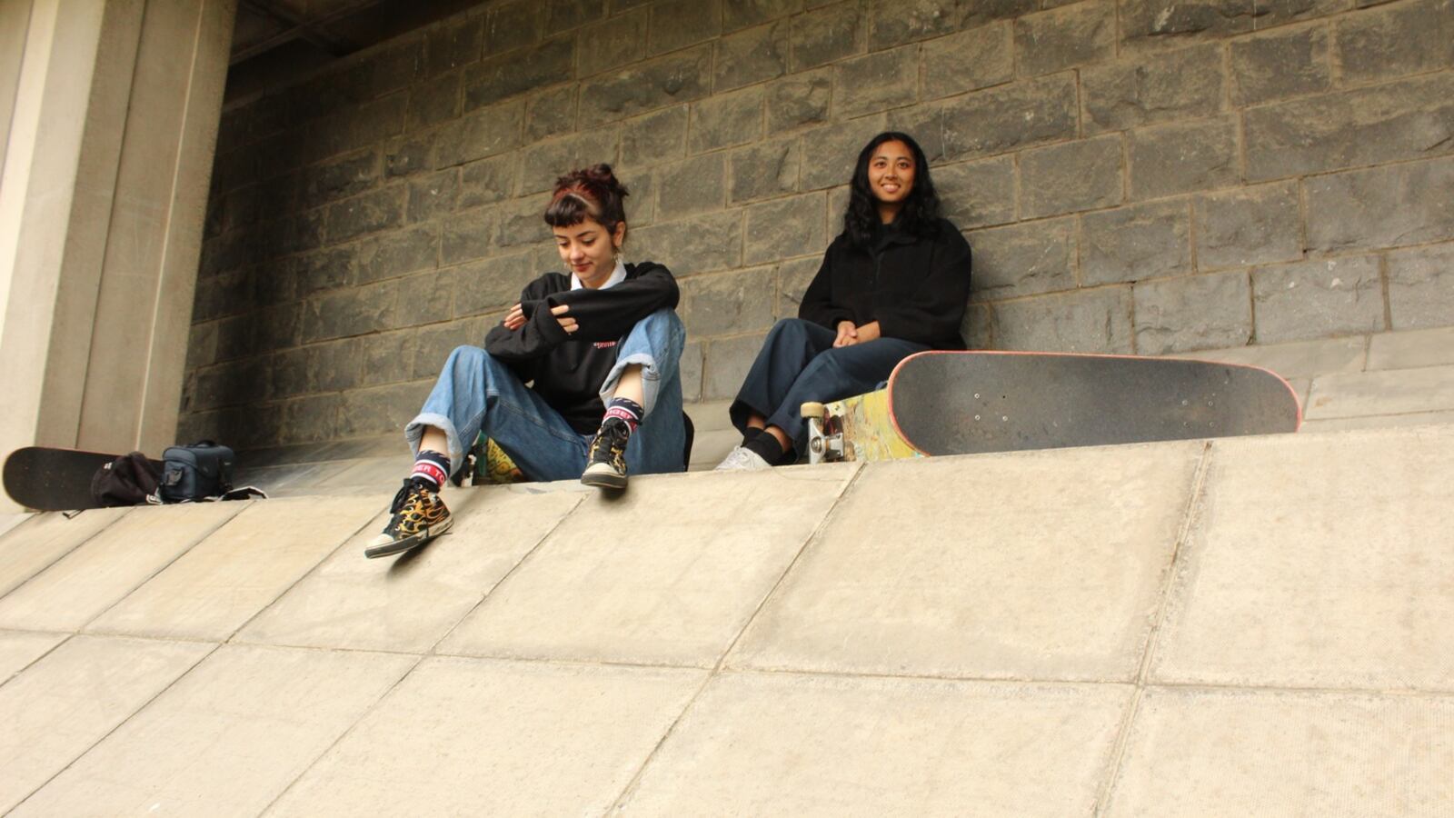 Skate Birds: Making skateboarding a sport for all – The Irish Times