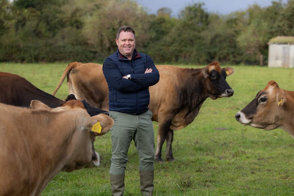 Quality and safety key to Ireland’s global reputation in food exports ...