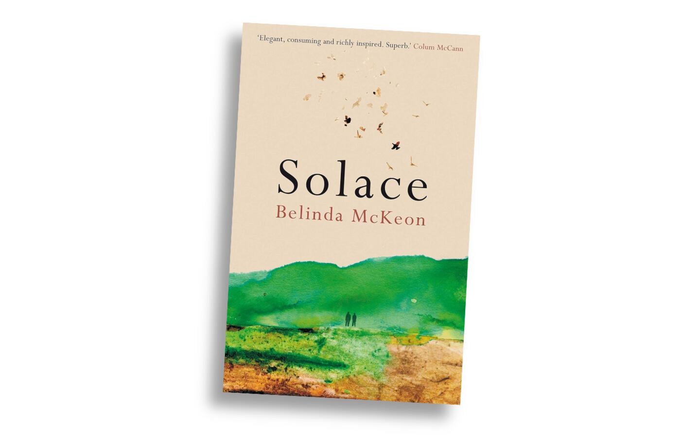 The 100 best Irish books of the 21st century: No 50 to No 26 – The ...