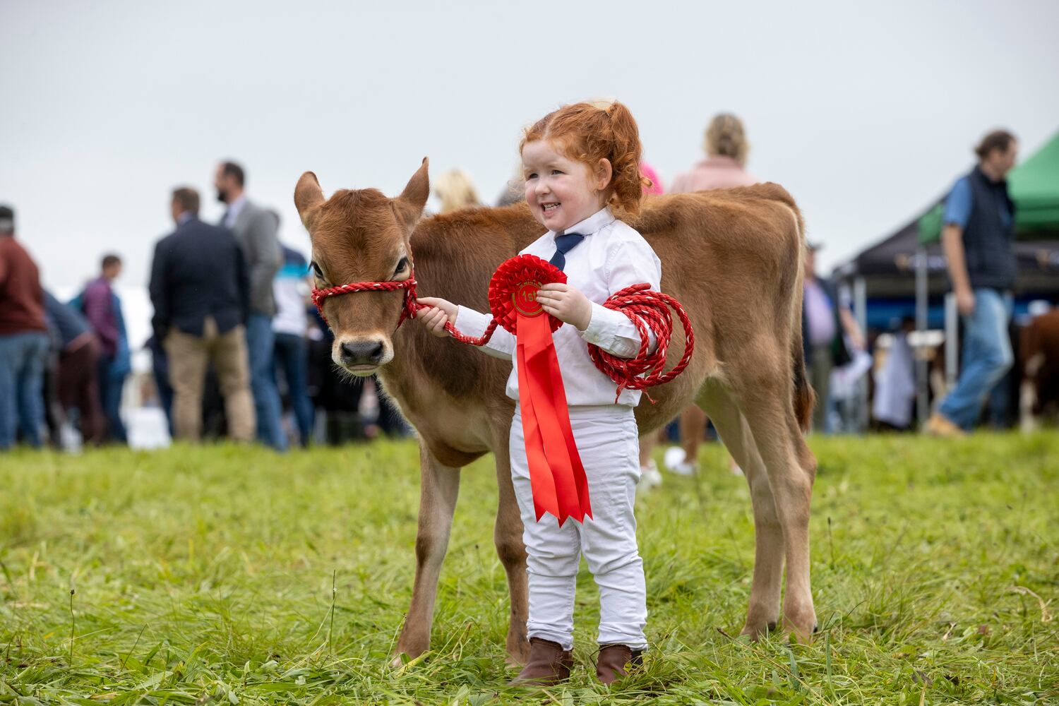 Royal Meath Agricultural Show takes place in Trim – The Irish Times